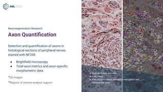 Various Image Analysis Use Cases solved with IKOSA | PDF