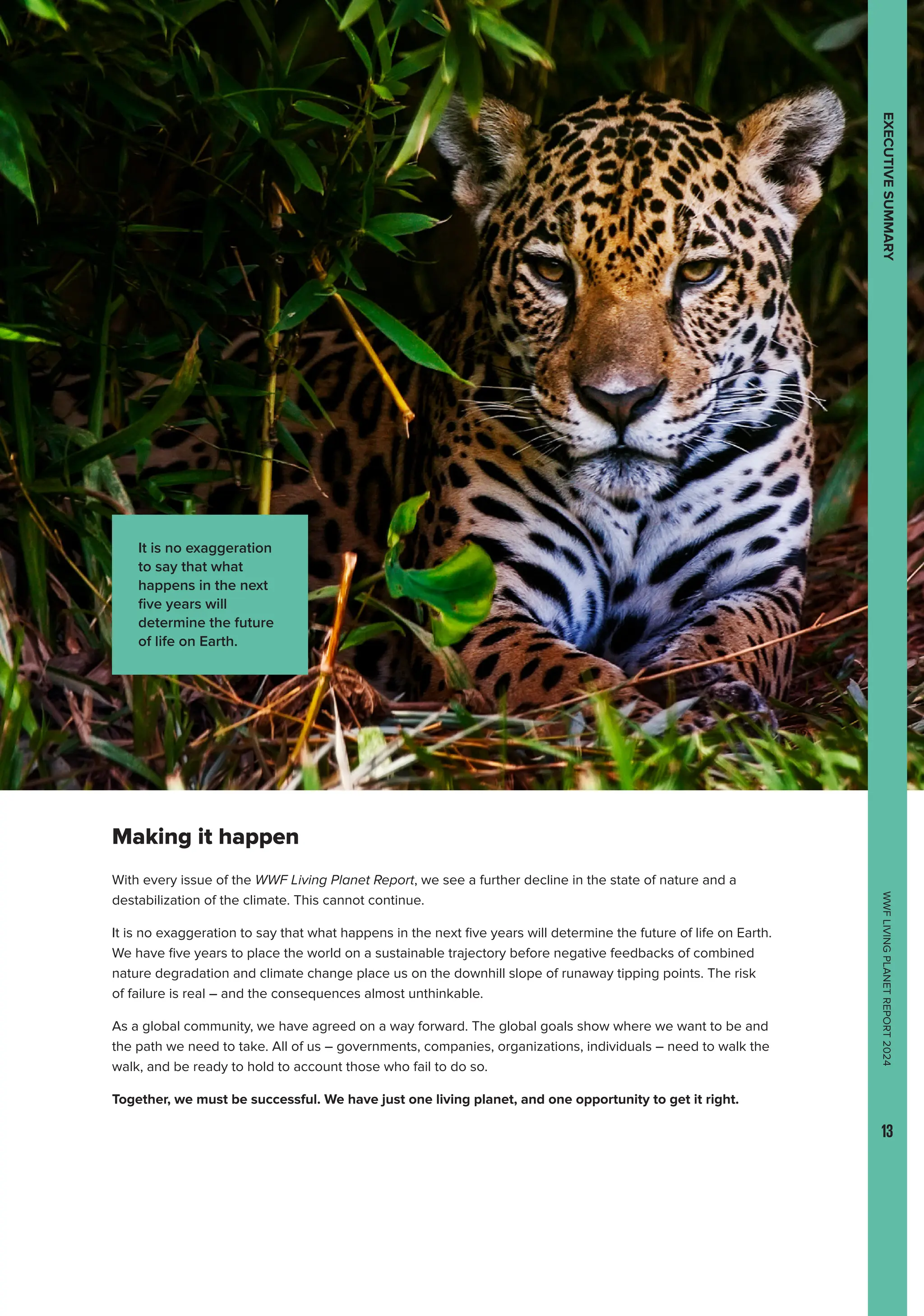 WWF 2024 Living Planet Report: a system in peril | PDF
