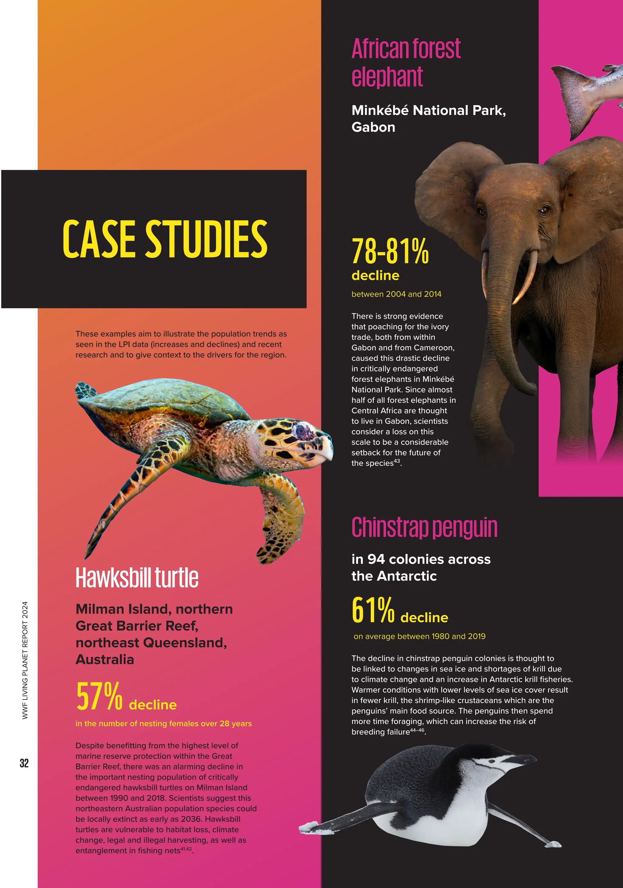 WWF 2024 Living Planet Report: a system in peril | PDF
