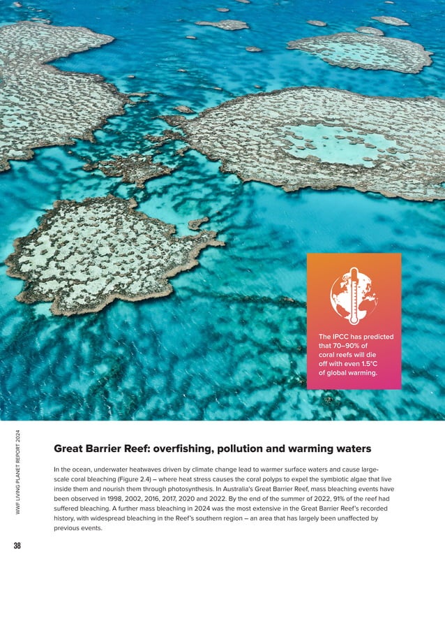 WWF 2024 Living Planet Report: a system in peril | PDF | Zoos ...