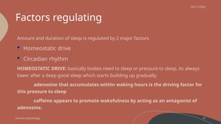 2024-sleep physiology-human physiology.pptx