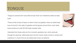 2024 - TASTE PATHWAY-HUMANPHYSIOLOGY.pptx