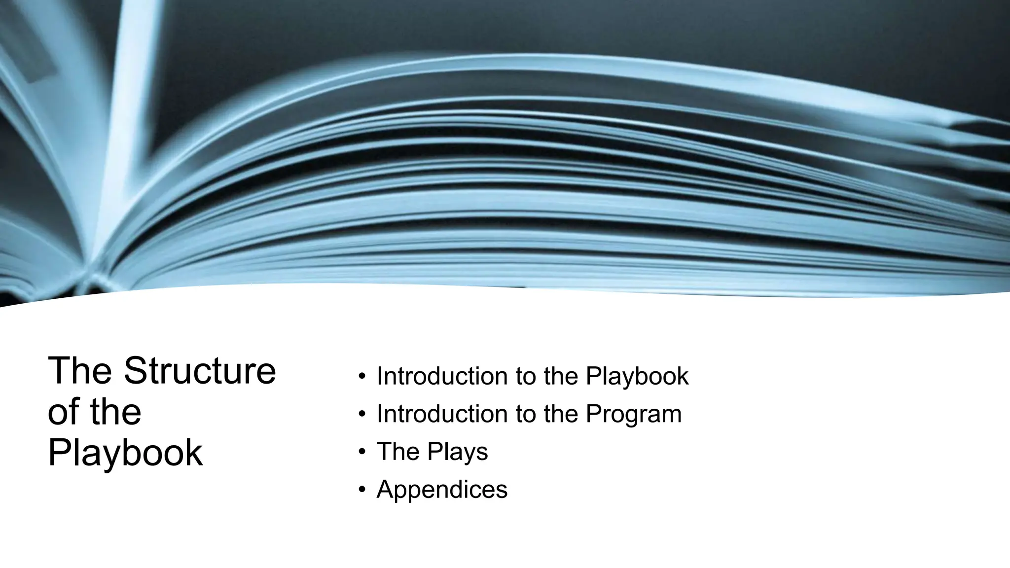 20240118 ARMA St Louis Building a RIM Program with a RIM Playbook.pptx