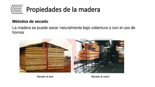 ASPECTOS GENERALES DE MADERA COMO MATERIAL CONSTRUCTIVO_ESTRUCTURAS II ...