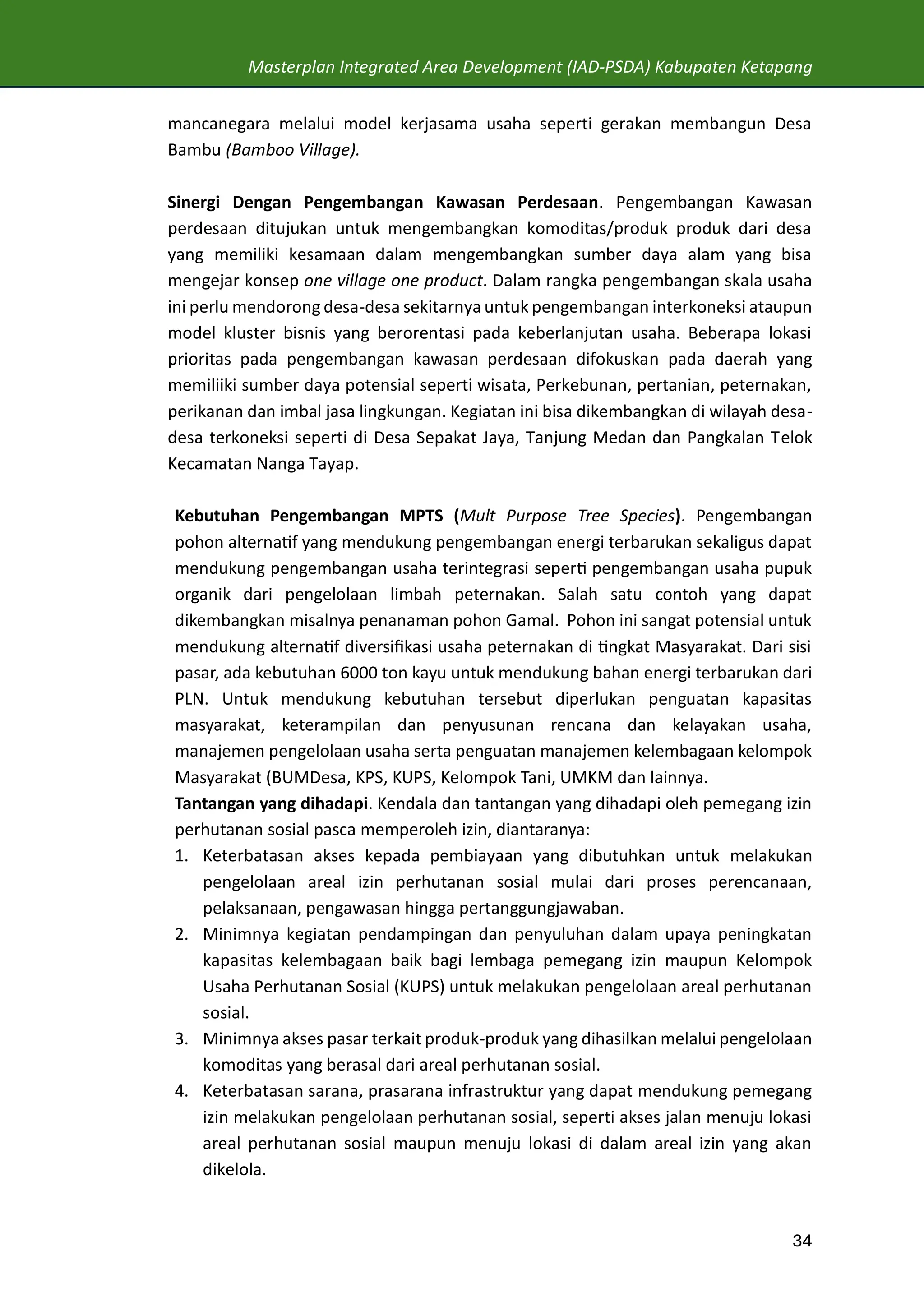 Masterplan IAD-PSDA Kabupaten Ketapang Provinsi Kalimantan Barat | PDF
