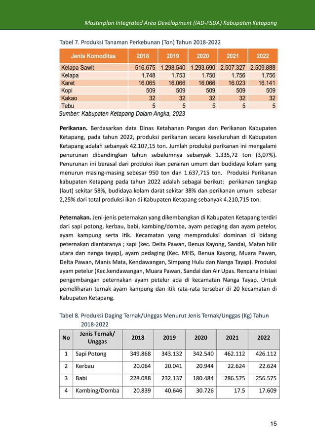 Masterplan IAD-PSDA Kabupaten Ketapang Provinsi Kalimantan Barat | PDF