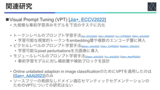 論文紹介：When Visual Prompt Tuning Meets Source-Free Domain Adaptive Semantic Segmentation | PPT
