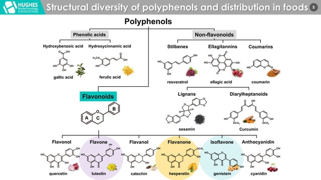 Boost Oral Bioavailability of Polyphenol | PPT