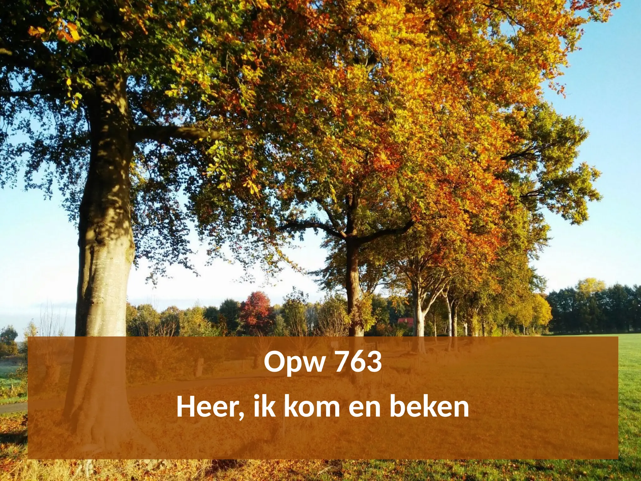 Mission Possible uitleg door dhr Simon van der Kooi | PPT