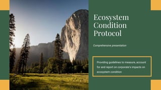 Introducing the Ecosystem Condition Protocol | PPT
