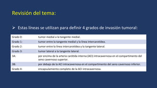 CLASIFICACION DE KNPS 2024_361_PE_Cabeza y Cuello.pdf