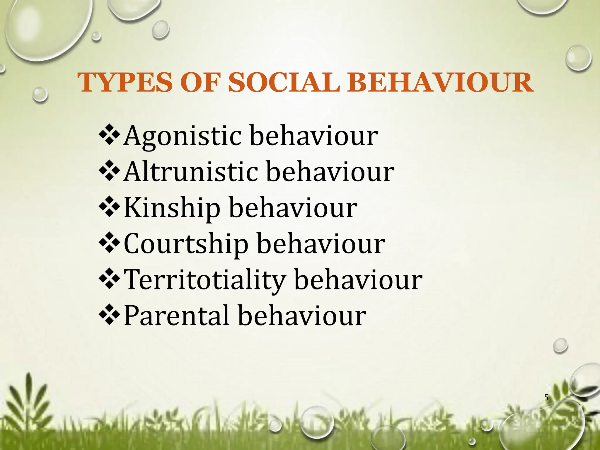 2024_409_IIII_04_krishnachavda_social behaviour.pptx