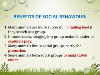 2024_409_IIII_04_krishnachavda_social behaviour.pptx