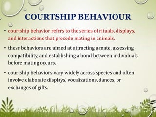 2024_409_IIII_04_krishnachavda_social behaviour.pptx