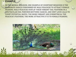 2024_409_IIII_04_krishnachavda_social behaviour.pptx