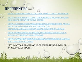 2024_409_IIII_04_krishnachavda_social behaviour.pptx