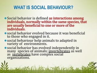 2024_409_IIII_04_krishnachavda_social behaviour.pptx