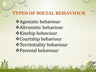 2024_409_IIII_04_krishnachavda_social behaviour.pptx
