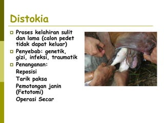 Manajemen Kesehatan Hewan untuk Paramedik Veteriner.ppt