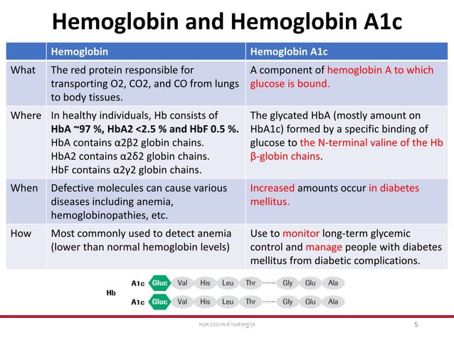 2024 AMTT_ Hemoglobin A1C Testing Final.pdf