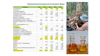 Natural aromatic camphor (Dryobalanops aromatica) | PPTX
