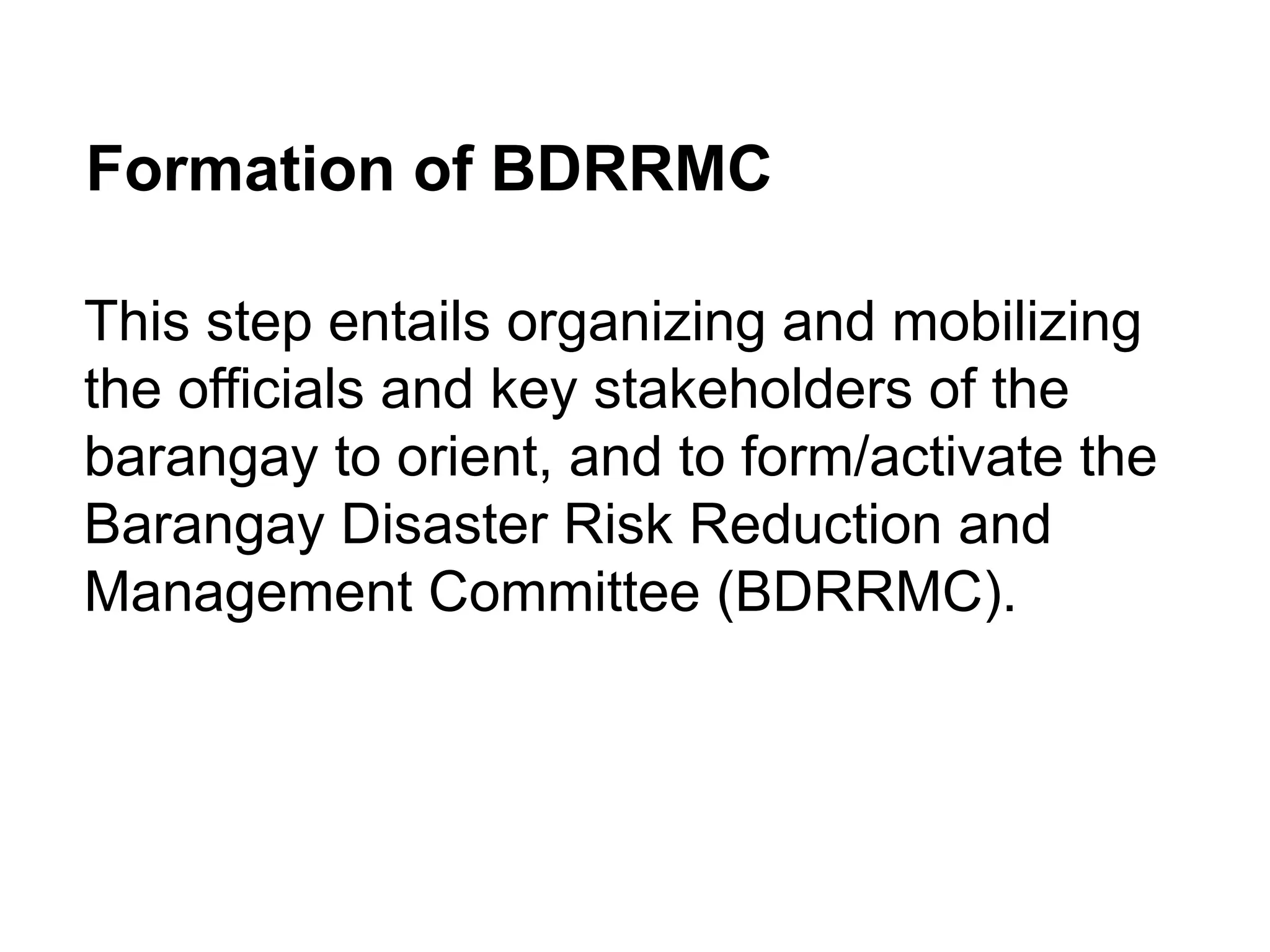 2024 CBDRRM Training for BDRRMCs_Plannings.pptx