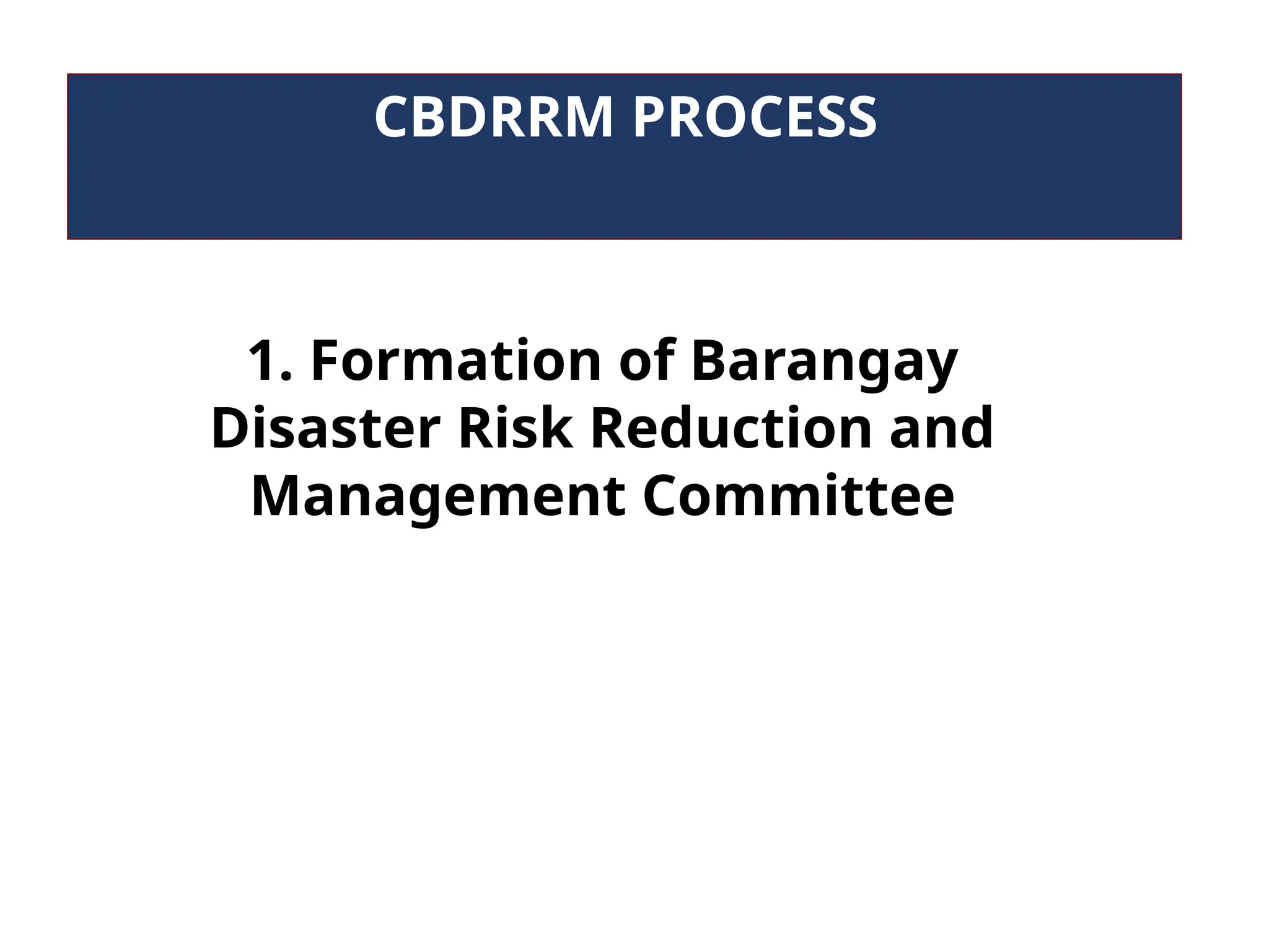 2024 CBDRRM Training for BDRRMCs_Plannings.pptx