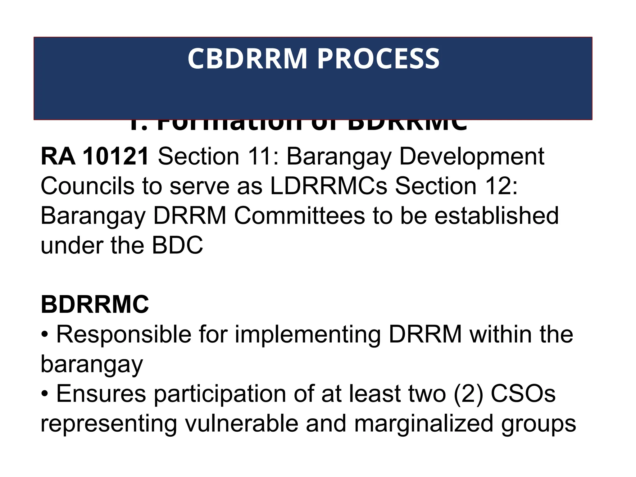 2024 CBDRRM Training for BDRRMCs_Plannings.pptx