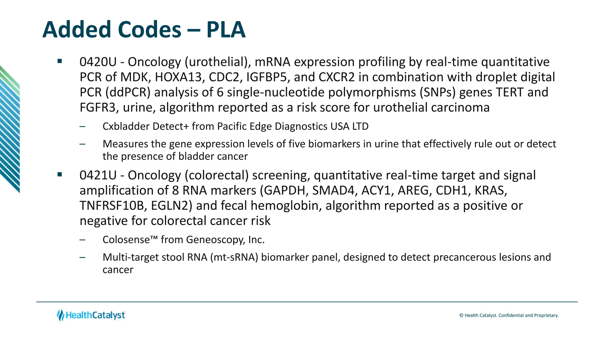 2024 CPT® Code Updates (CDM Focused) - Part 1 | PPTX | Genetics | Science