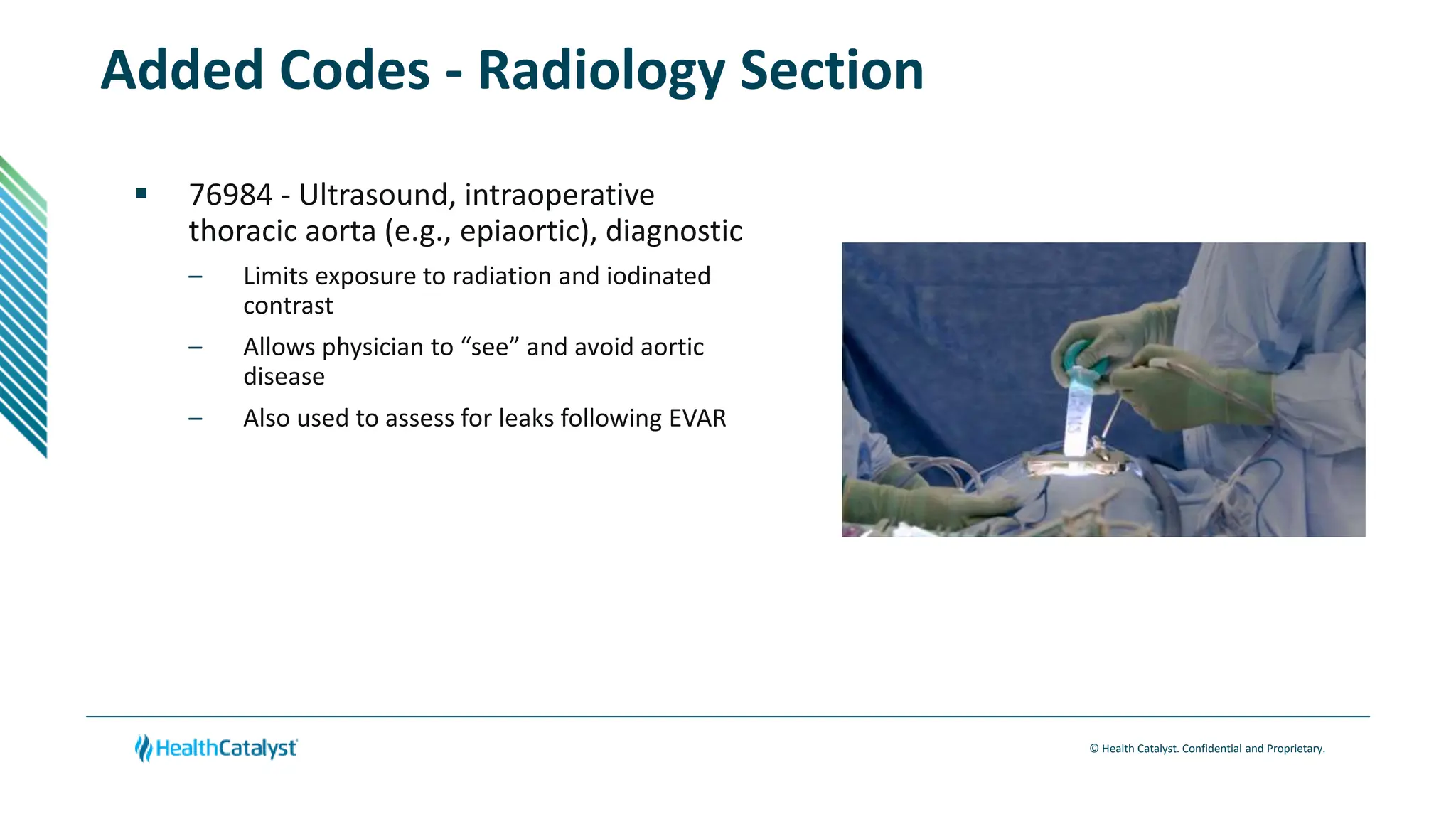 2024 CPT® Code Updates (CDM Focused) - Part 1 | PPTX