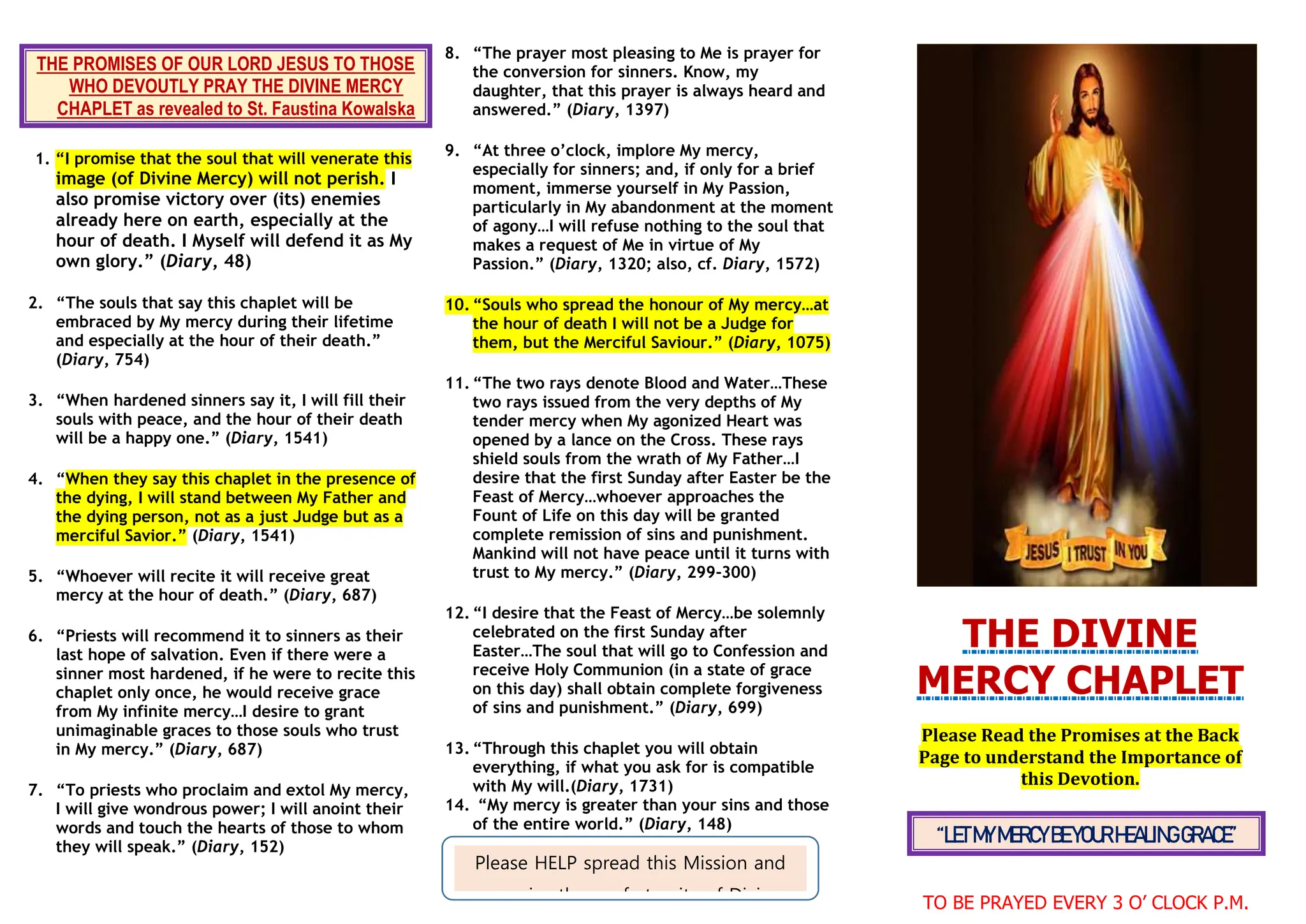 2024 DIVINE MERCY CHAPLET BOOKLET -A4 final.docx