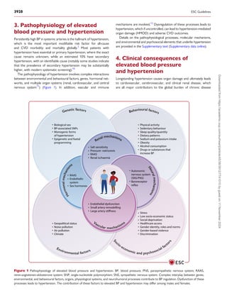 2024 ESC GUIDELINES FOR MANAGEMENT OF ELEVATED BLOOD PRESSURE AND ...