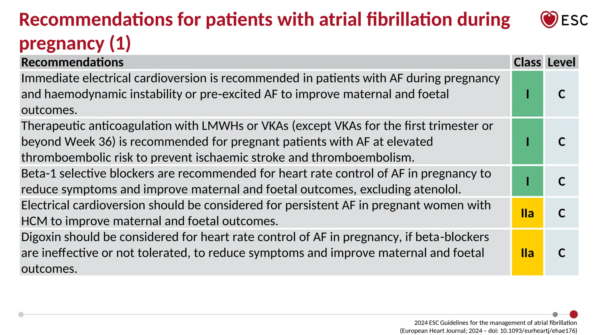 2024 ESC Official slideset_AFIB_web protected.pptx
