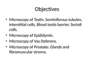 Histology of male reproductive system.pptx