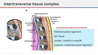 2024 KSCTVA_Regional anesthesia for thoracic surgery | PDF