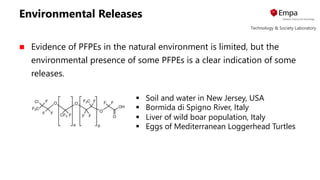 Understanding Perfluoropolyethers (PFPEs) and Their Life Cycle | PDF