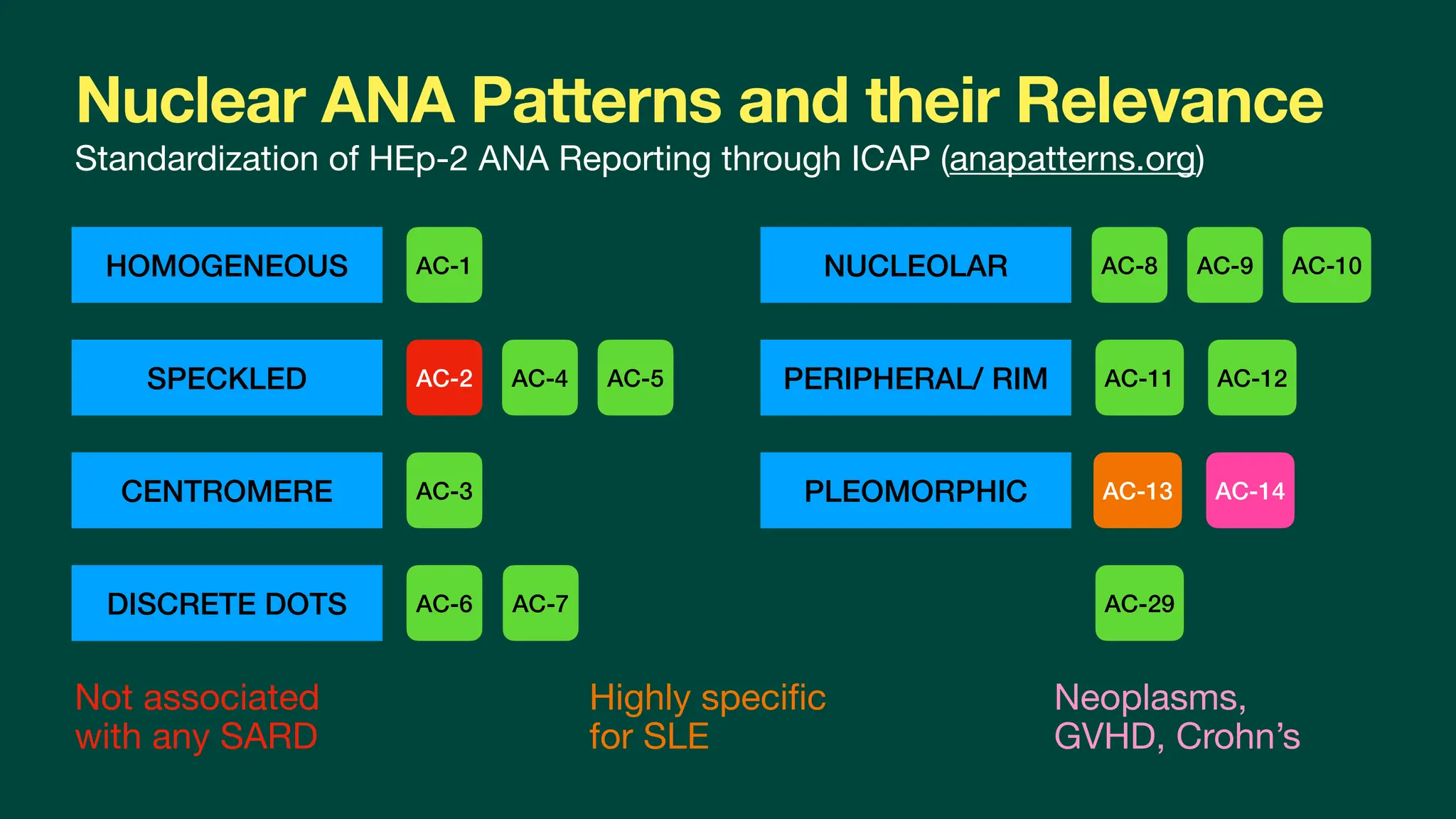 2024 PCP #IMPerative Updates in Rheumatology | PDF