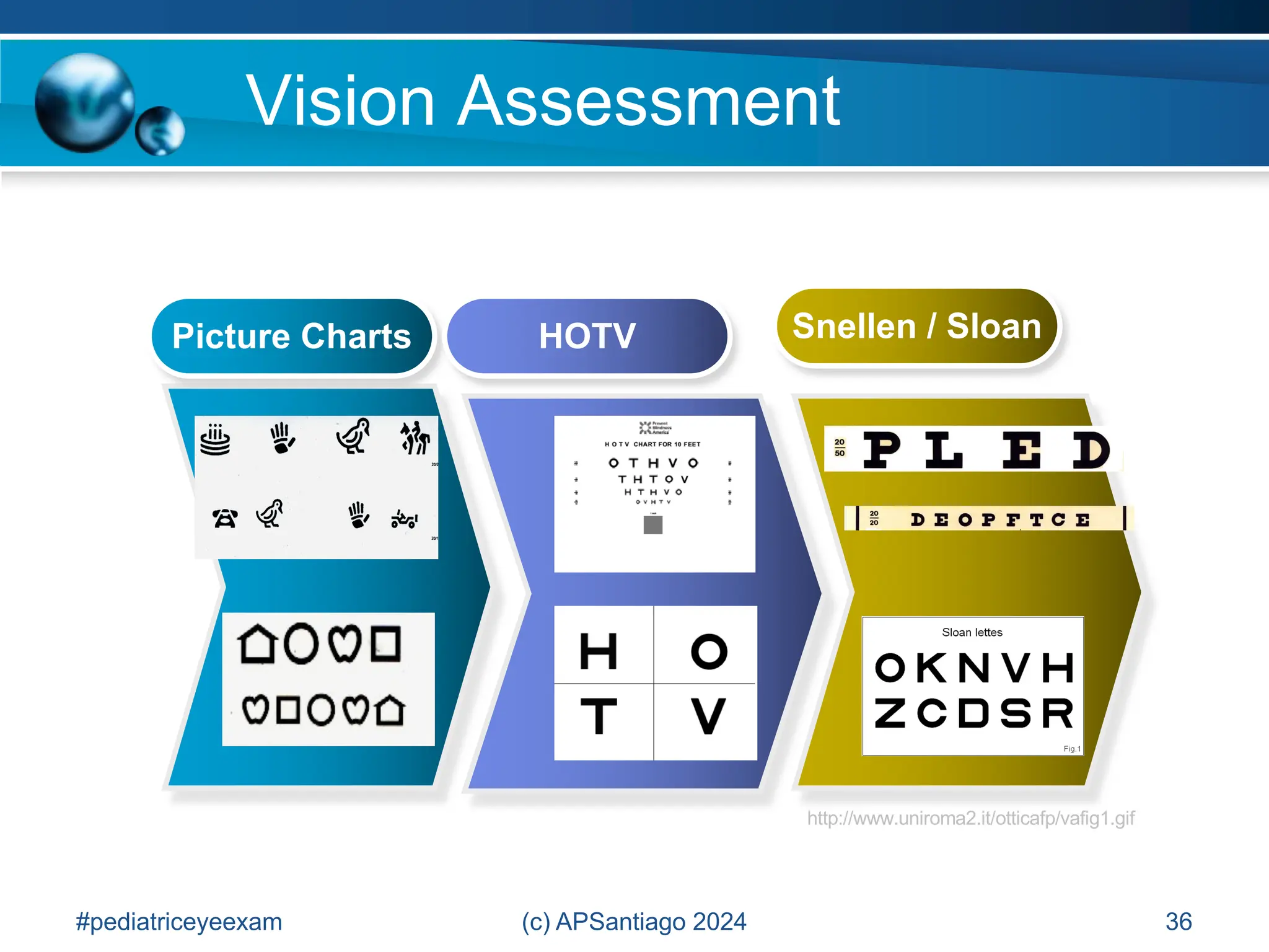 2024 PGH Basic Pediatric Vision Examination.pdf