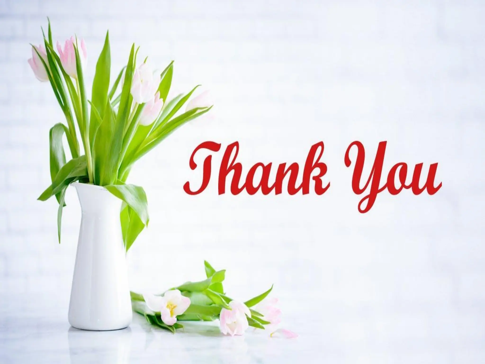 Pressure Ulcers A decubitus ulcer. Stages of Bedsore | PDF