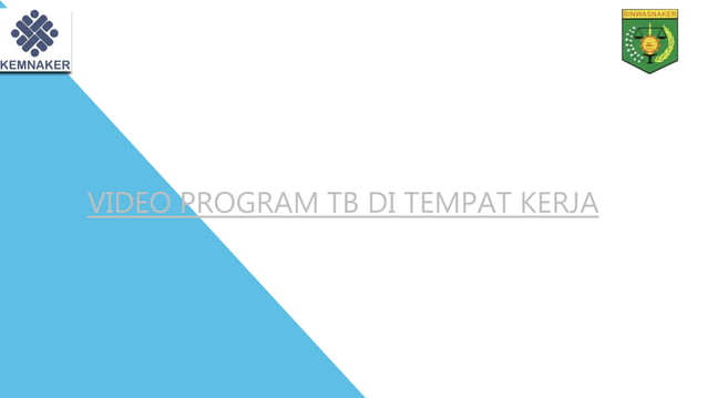 (2024) REGULASI P2 HIV-AIDS DAN TB DI TEMPAT KERJA.pdf