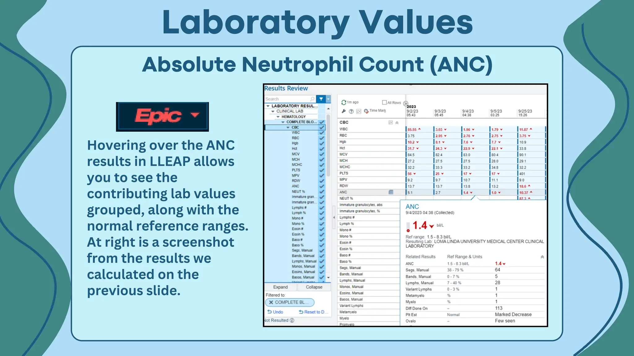 Neutropenia in Oncology power point ---- | PDF