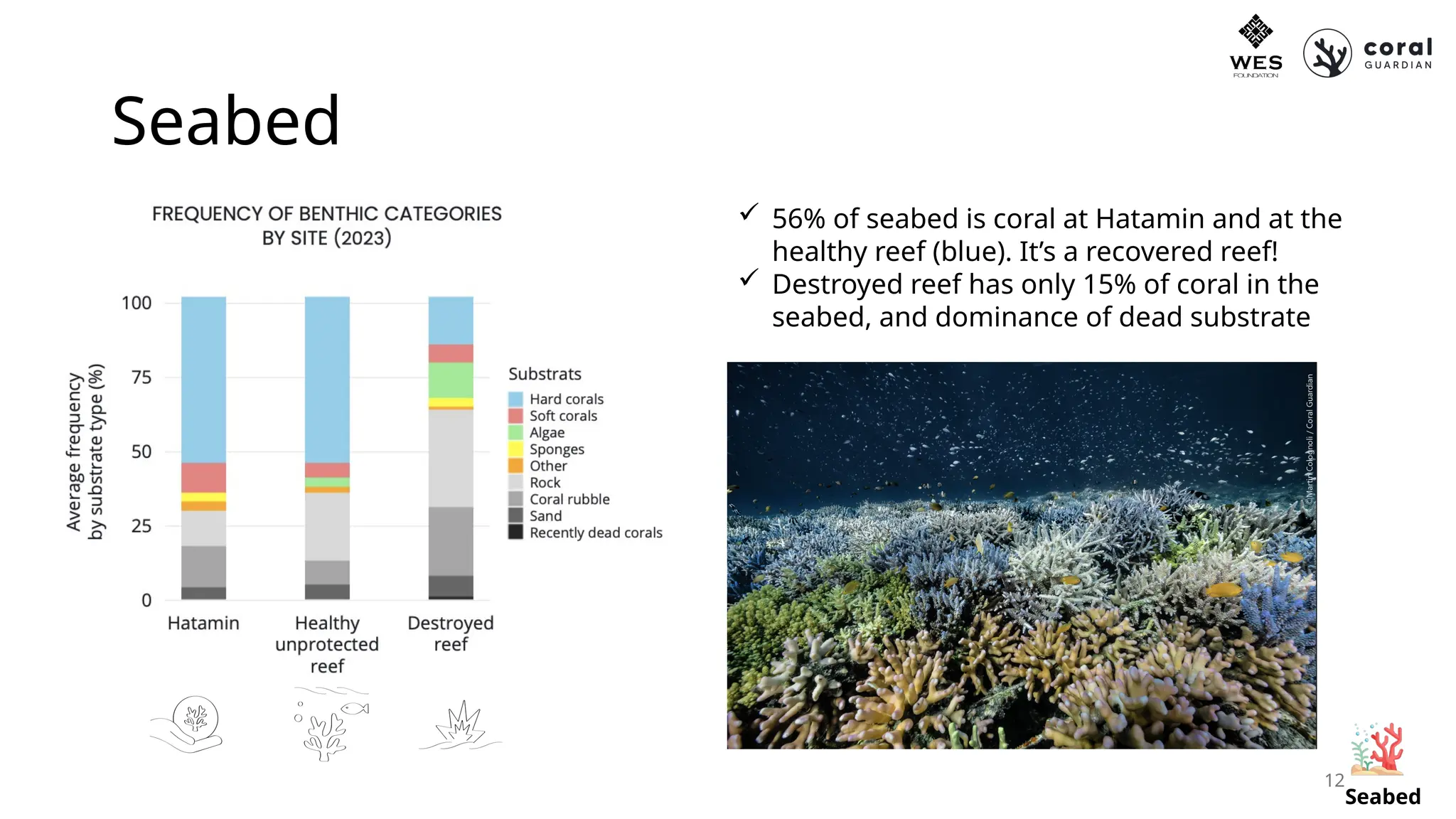 Coral reef Condition at P. Seraya Marannu.pptx