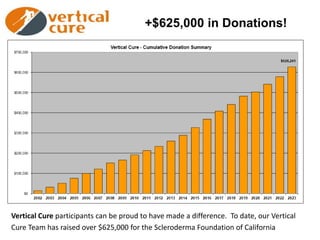 2024 Vertical Cure Overview.pdf