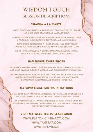 2024 Wisdom Touch Tour Houston Slide Deck | PDF