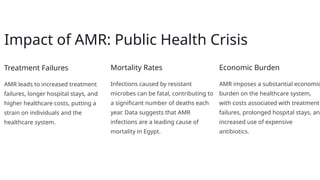 2025 antimicrobial resistance in egypt.pptx