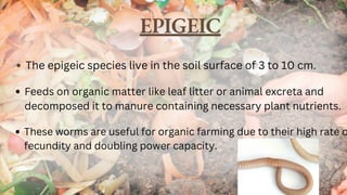 Vermicomposting, vermicomposting types, process of vermicomposting | PDF