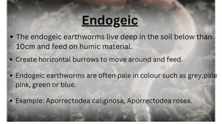 Vermicomposting, vermicomposting types, process of vermicomposting | PDF