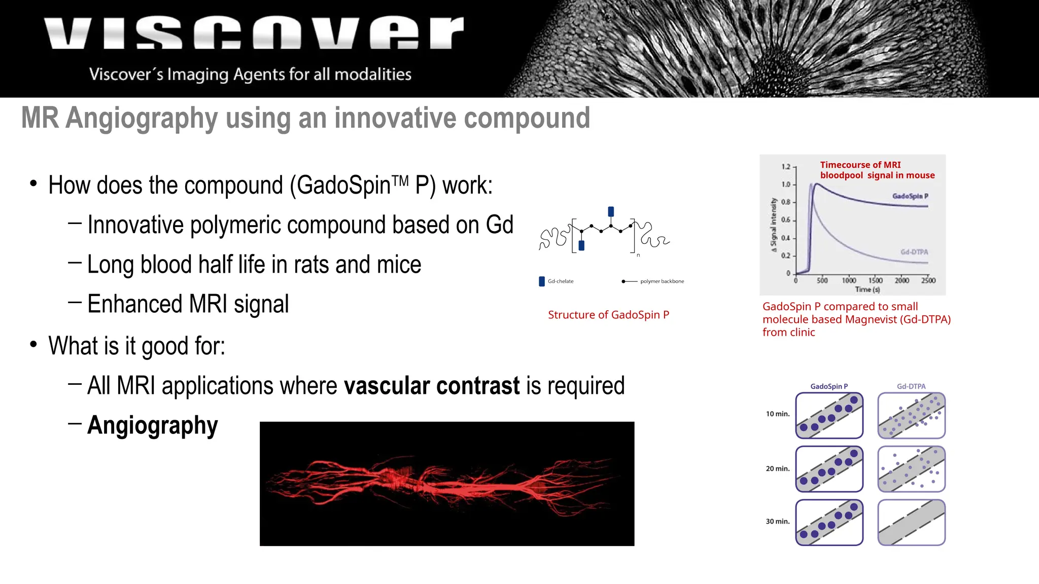 Witness the Power of Contrast Agents & Multimodal Imaging: MRI ...
