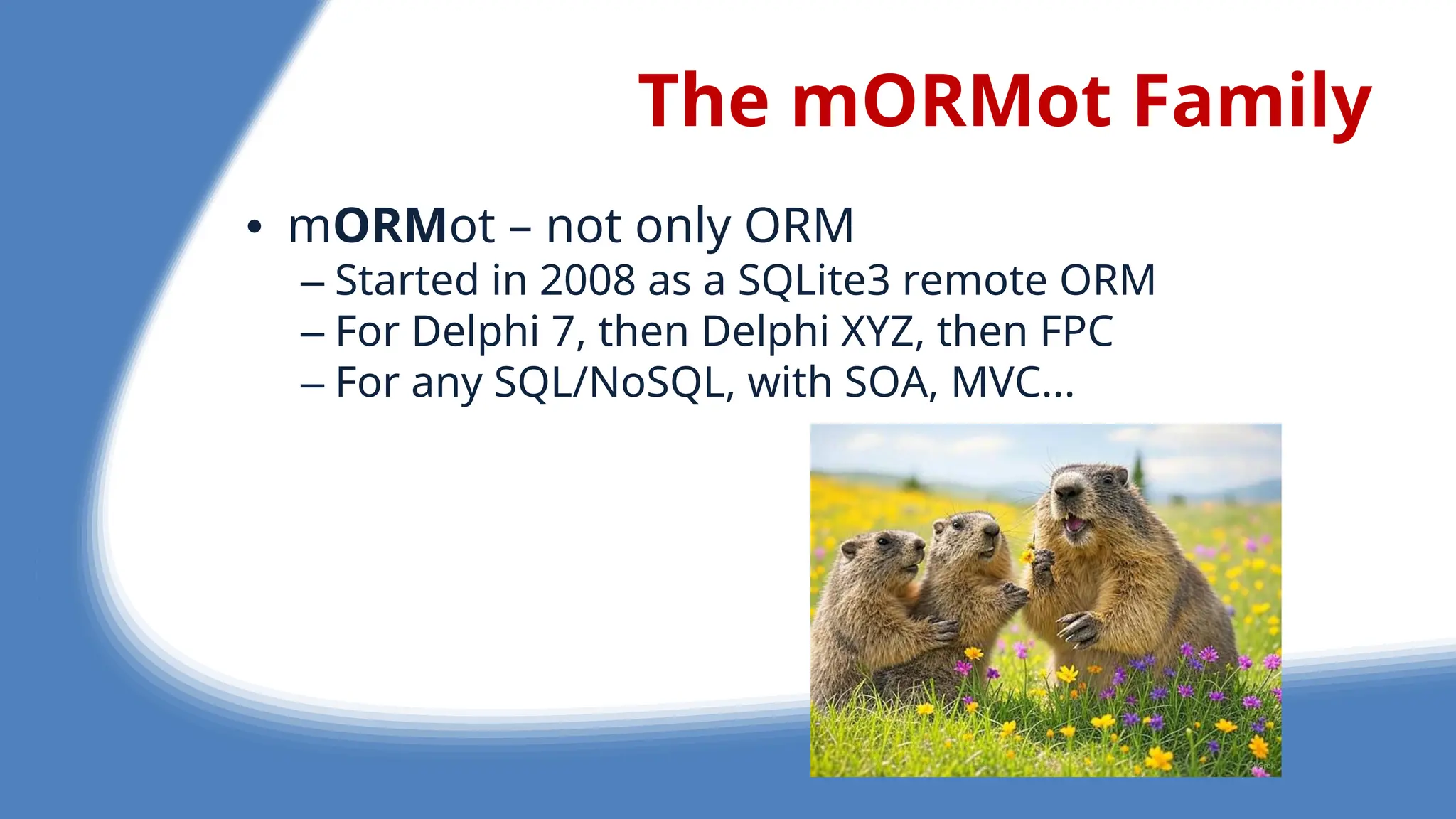 mORMot 2 - Pascal Cafe 2025 in Nederlands | PDF