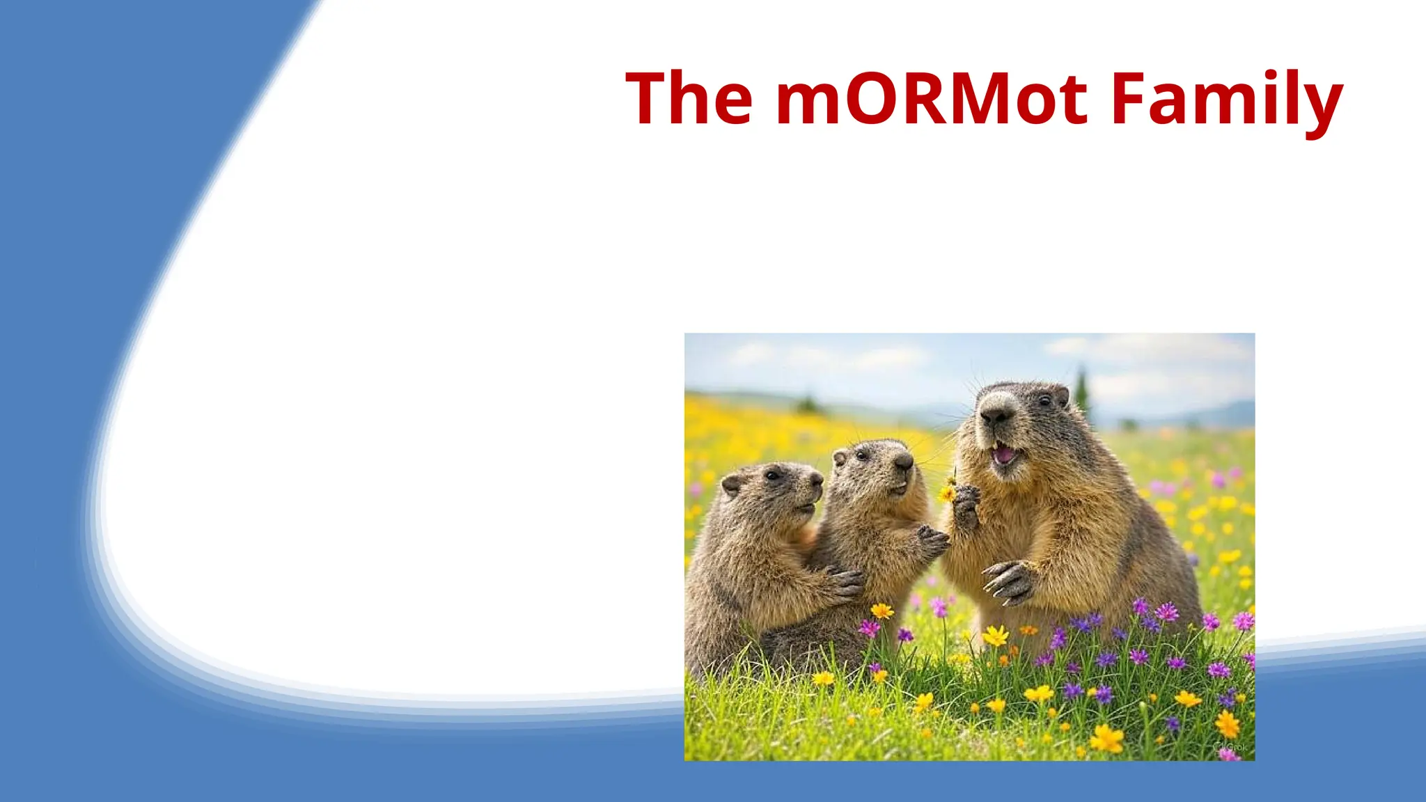 mORMot 2 - Pascal Cafe 2025 in Nederlands | PDF